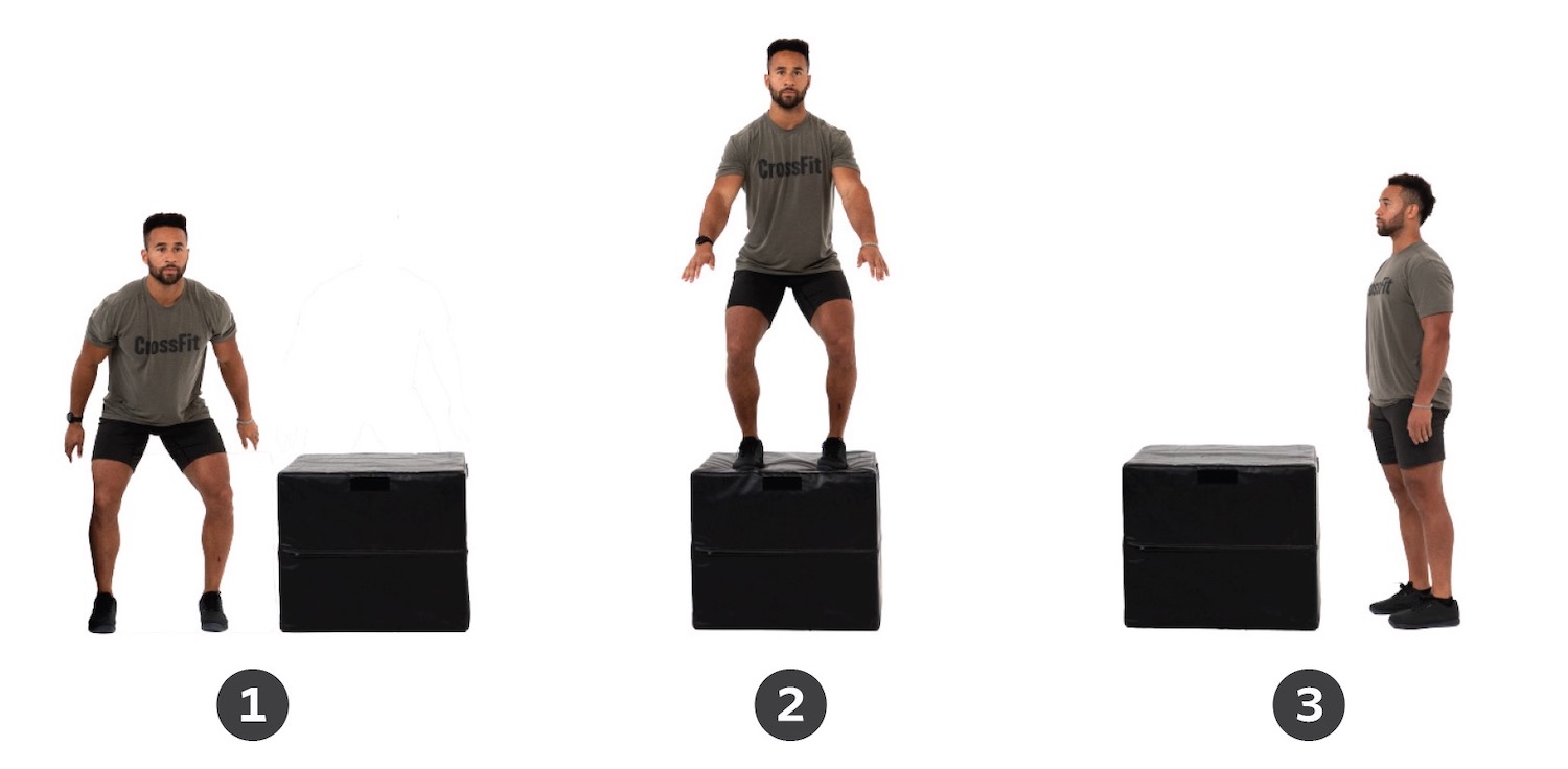 2025 Pro Workout Pro Workout 1 Men Rx