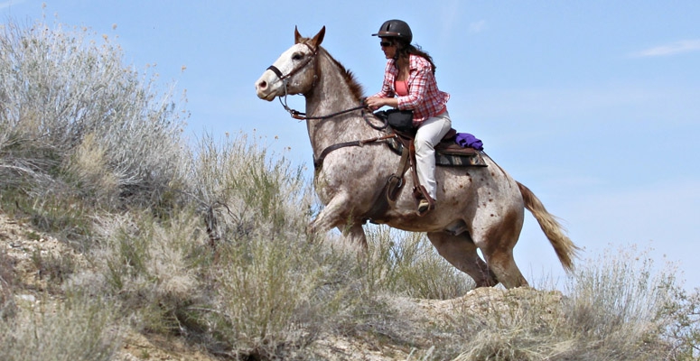 The CrossFit Carryover